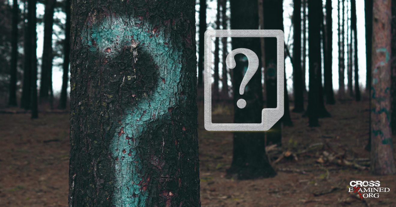 Undesigned Coincidences in the Scriptures: An Argument for Their ...