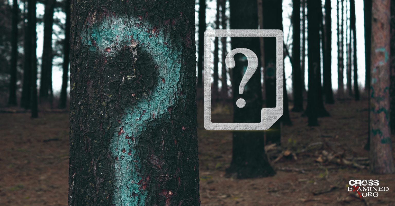 Undesigned Coincidences in the Scriptures: An Argument for Their ...