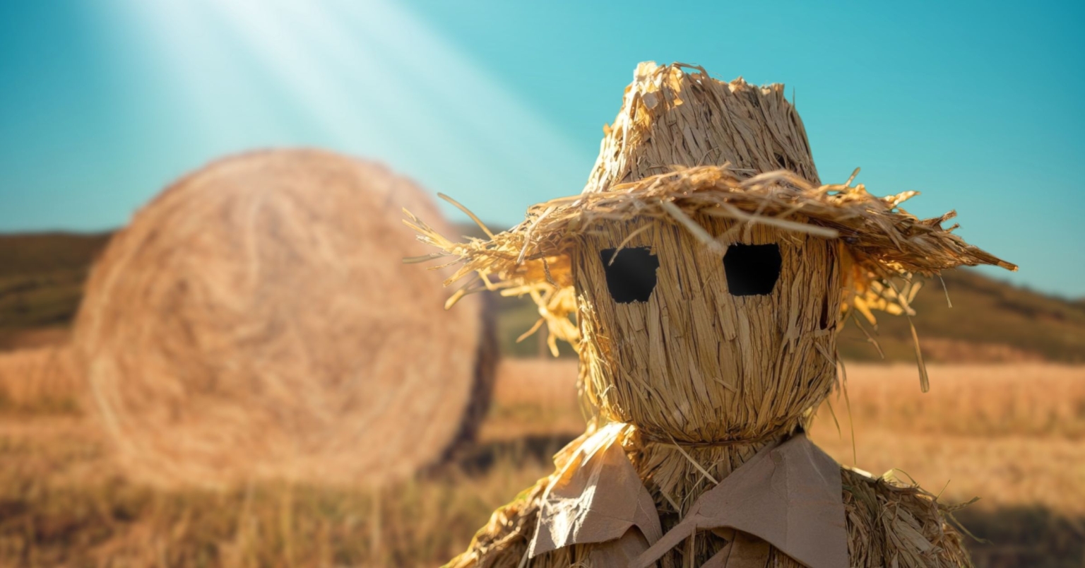 What a Straw Man Argument is and What is Not.